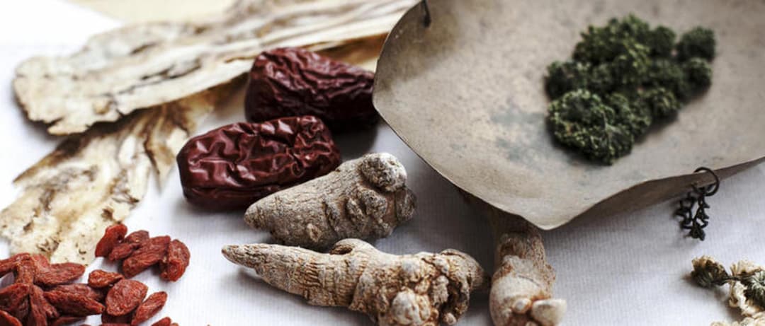 Joy Acupuncture and Wellness